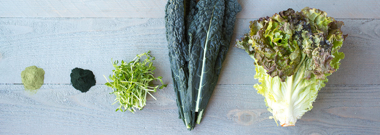 What Greens Should I Eat - Guide To Greens - Amazing Grass