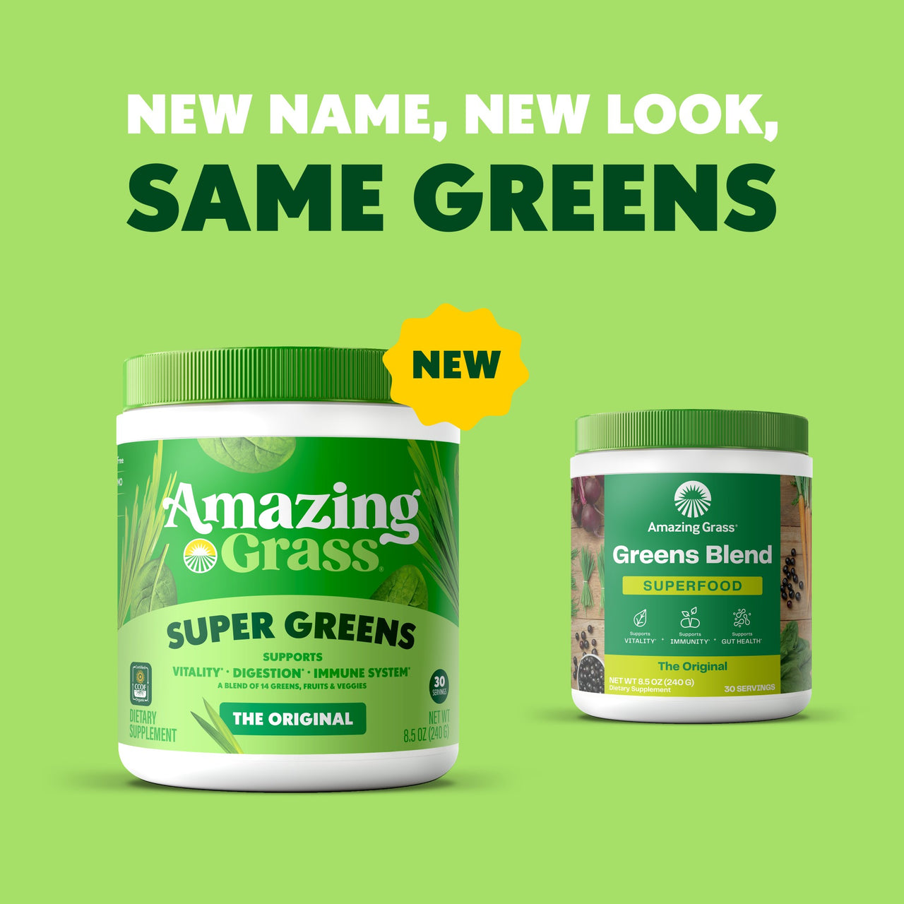 Super Greens Powder - Greens Blend Nutrition – Amazing Grass
